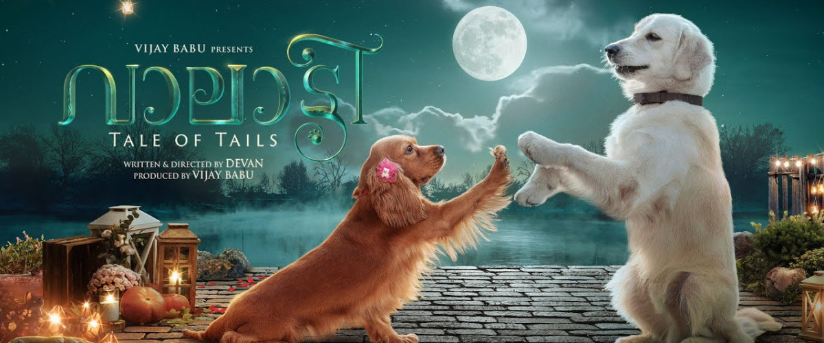 Davis Theatre Varandarappilly Thrissur